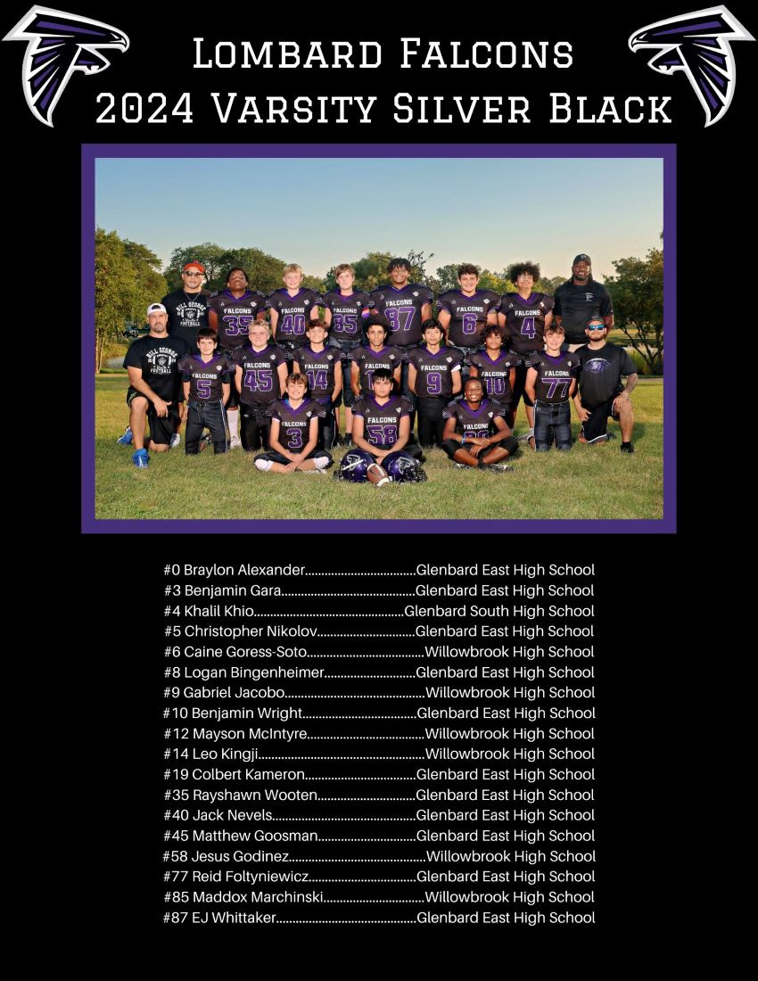 Lombard Falcons Junior Football League – A community-driven youth ...