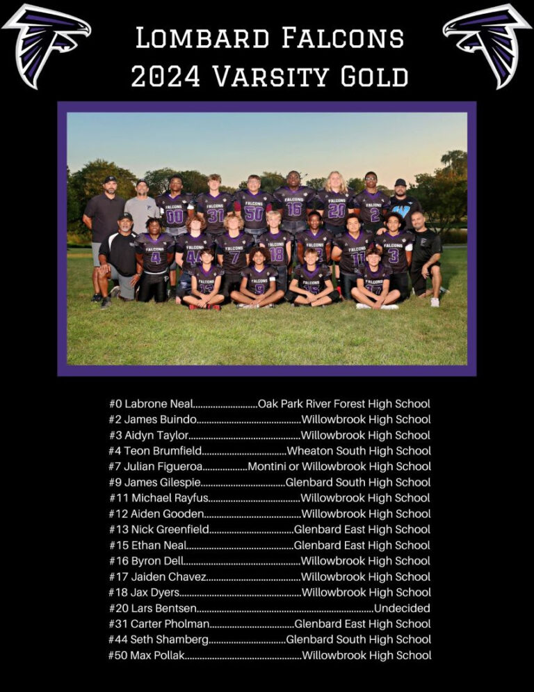 Lombard Falcons Junior Football League – A community-driven youth ...